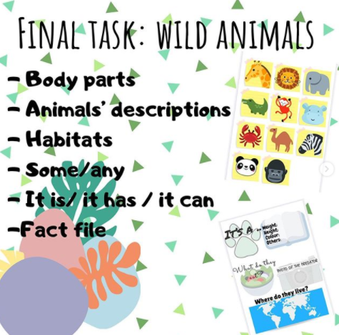 Profes Papel Tijera ANIMAL PACK