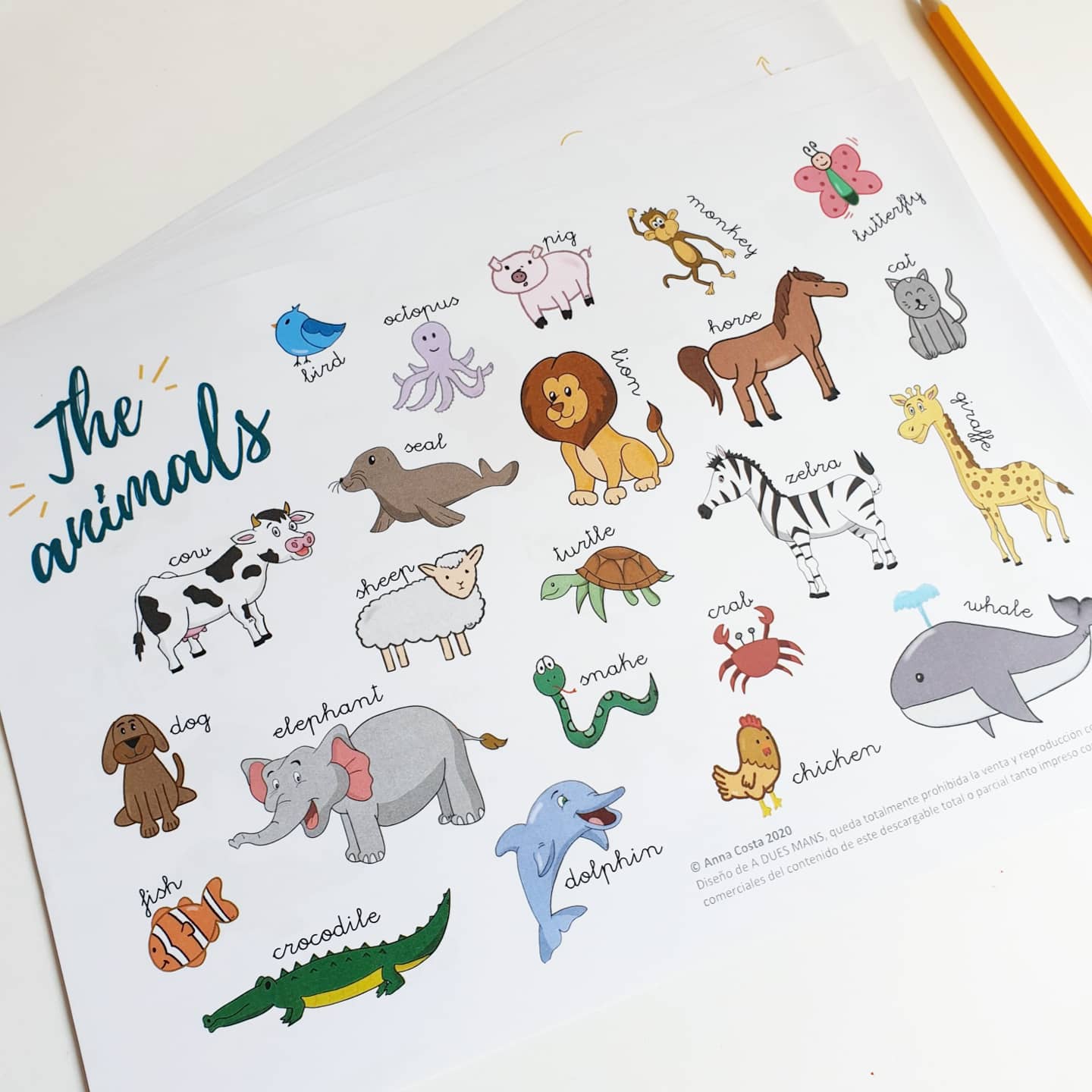 Profes Papel Tijera VOCABULARIO: THE ANIMALS