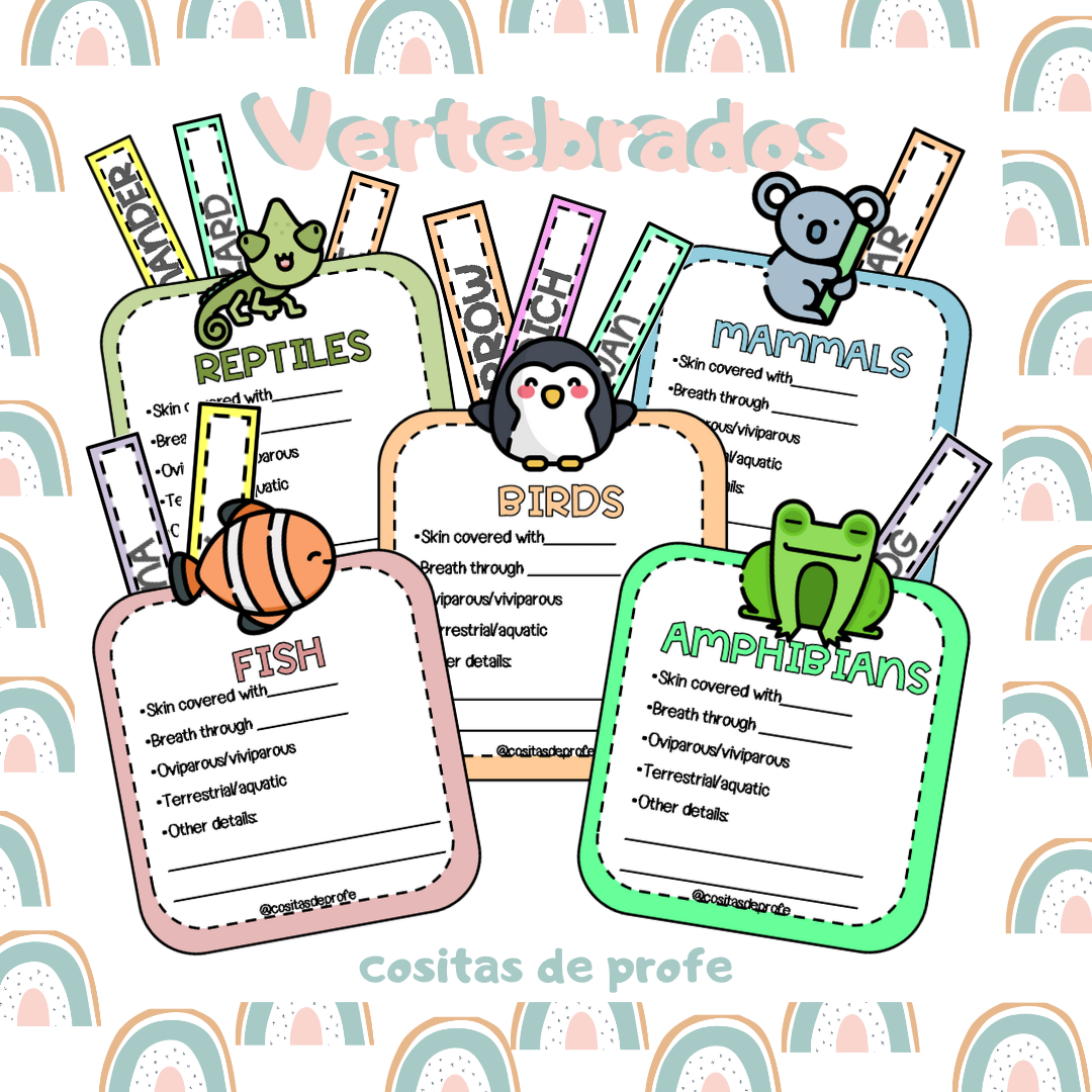 Profes Papel Tijera Classify vertebrates ENG - ESP