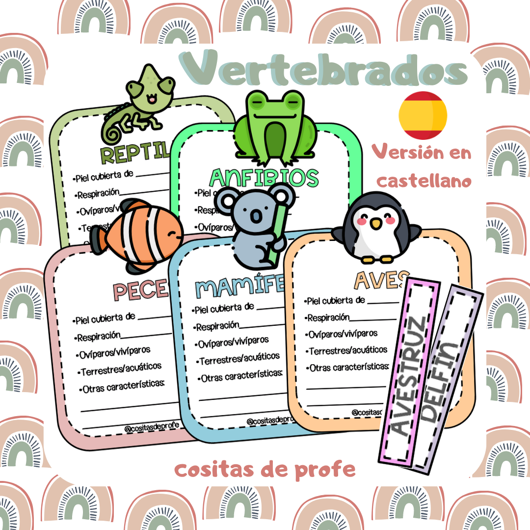 Profes Papel Tijera Classify vertebrates ENG - ESP