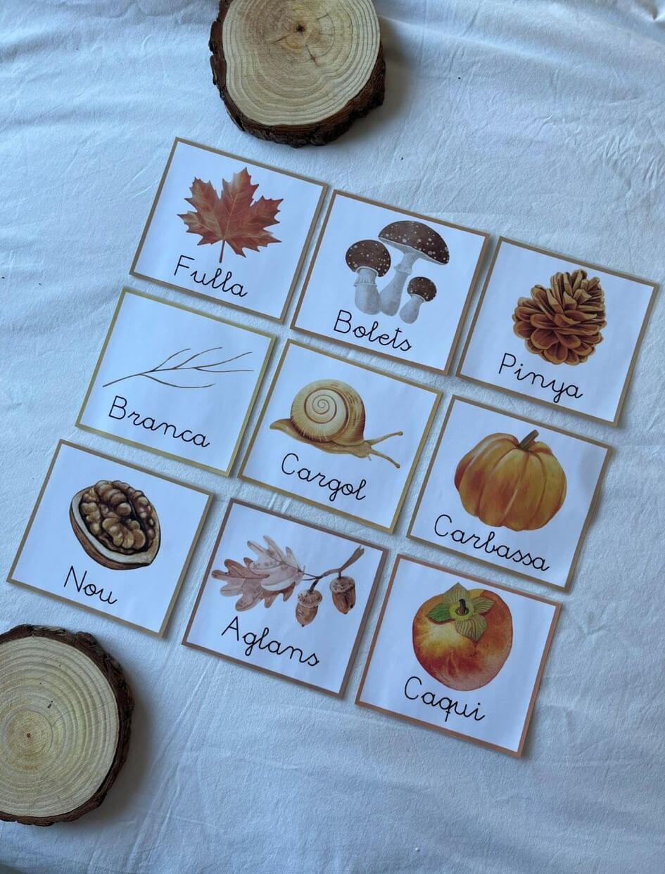 Profes Papel Tijera targetes vocabulari tardor lletra lligada català