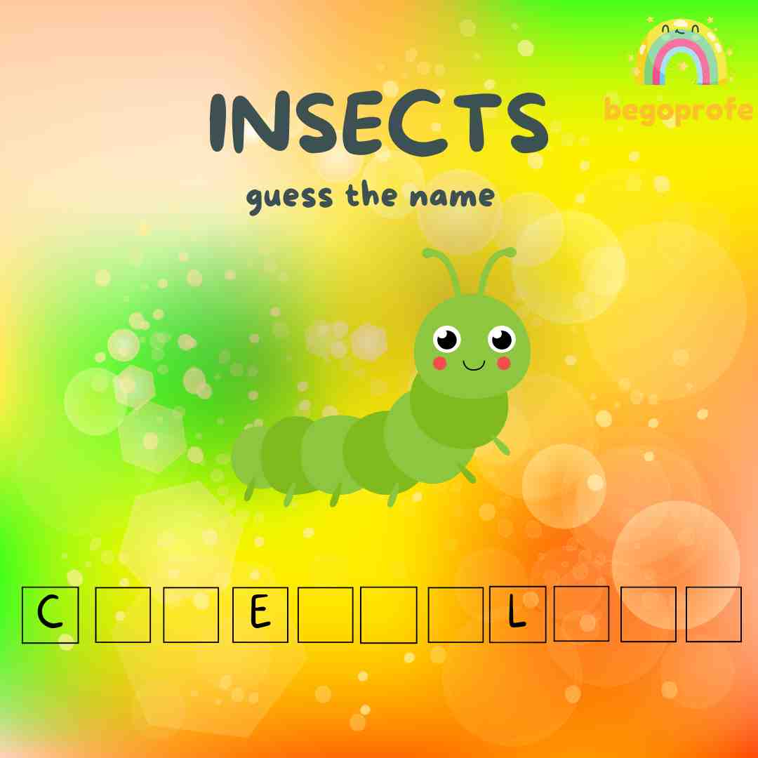 Profes Papel Tijera INSECTS word search game