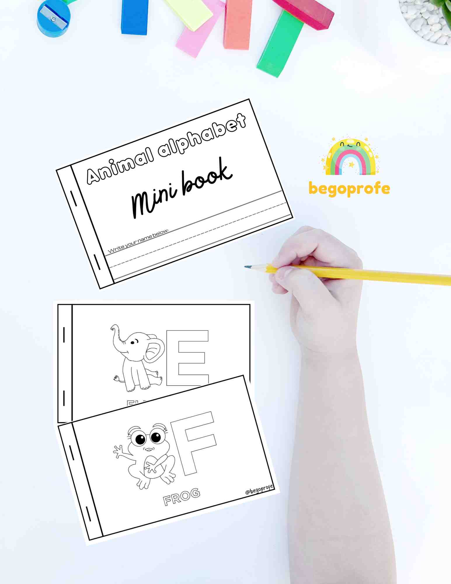 Profes Papel Tijera Animal alphabet mini book