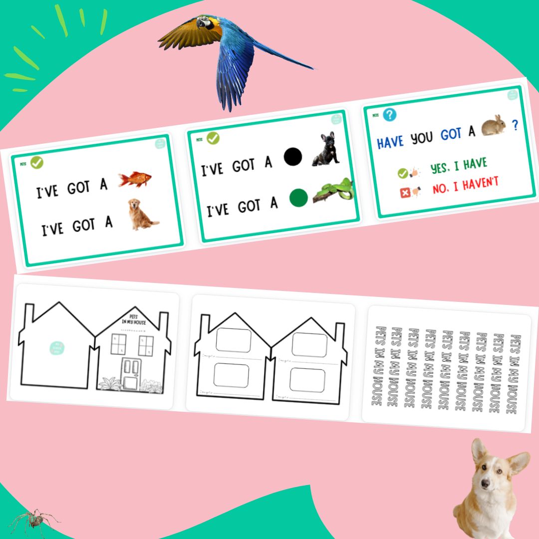 Profes Papel Tijera Pets in my house