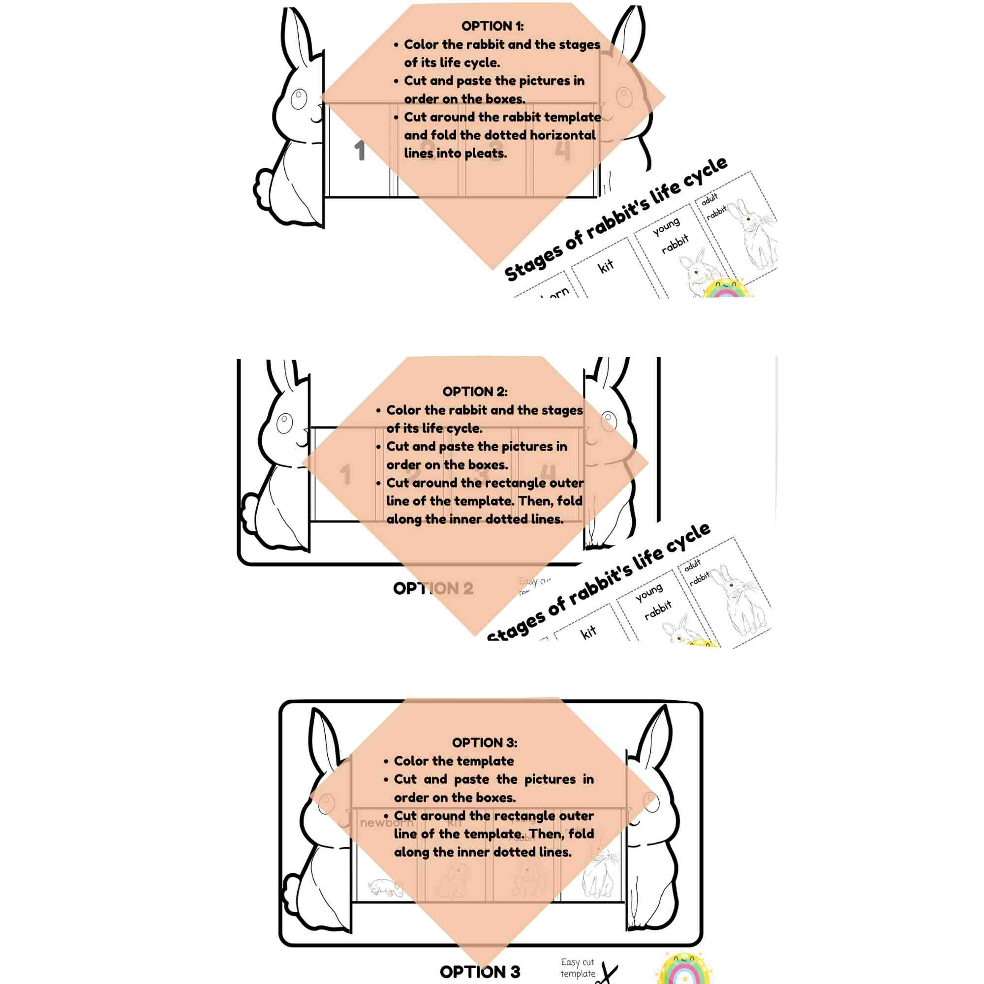 Profes Papel Tijera Life cycle of a rabbit craft, Easter ideas