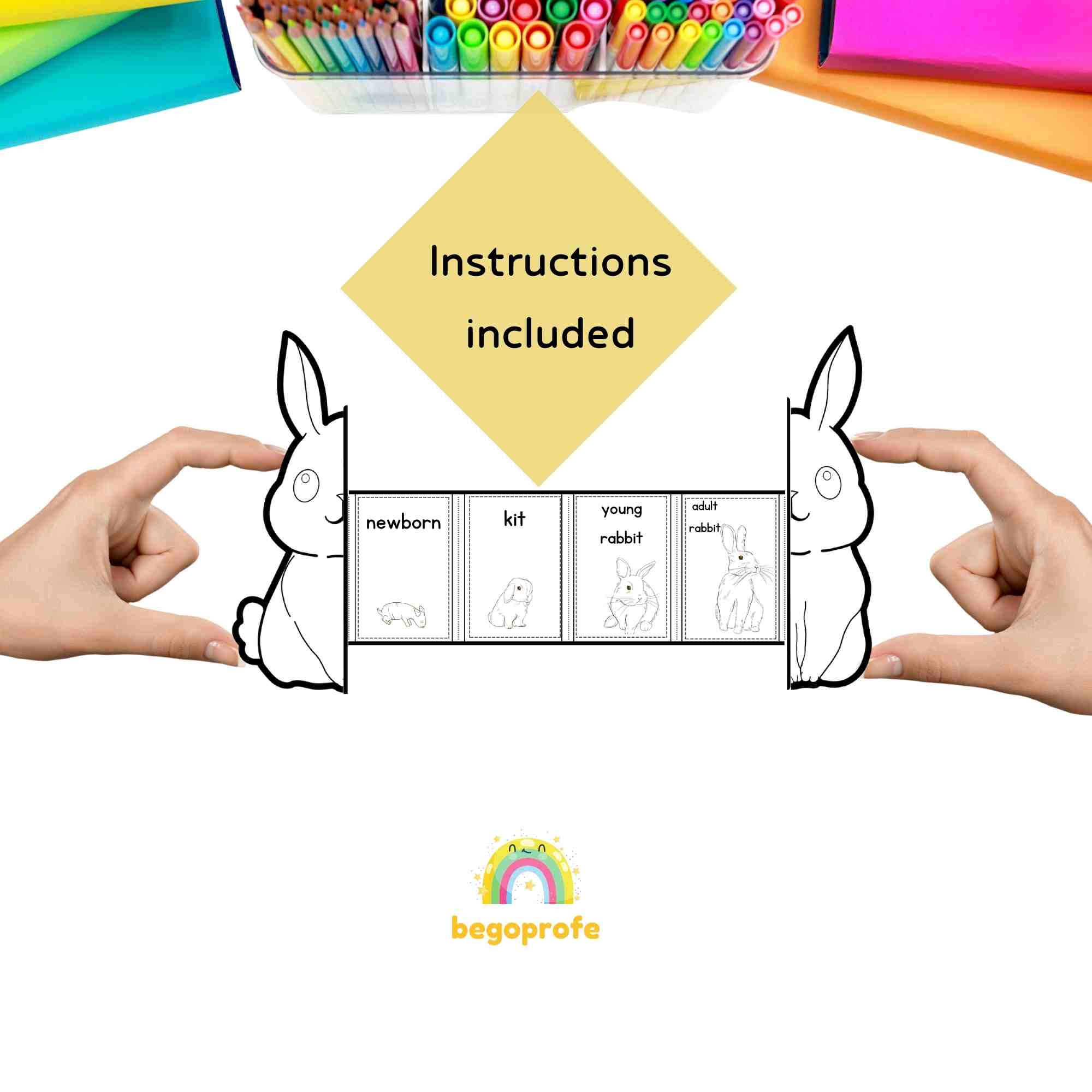 Profes Papel Tijera Life cycle of a rabbit craft, Easter ideas