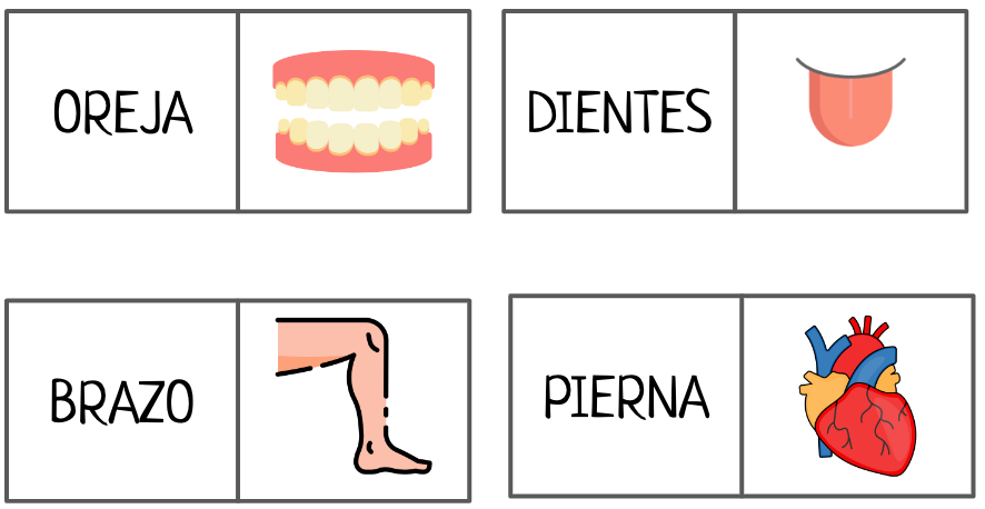 Profes Papel Tijera DOMINÓ LAS PARTES DEL CUERPO HUMANO.
