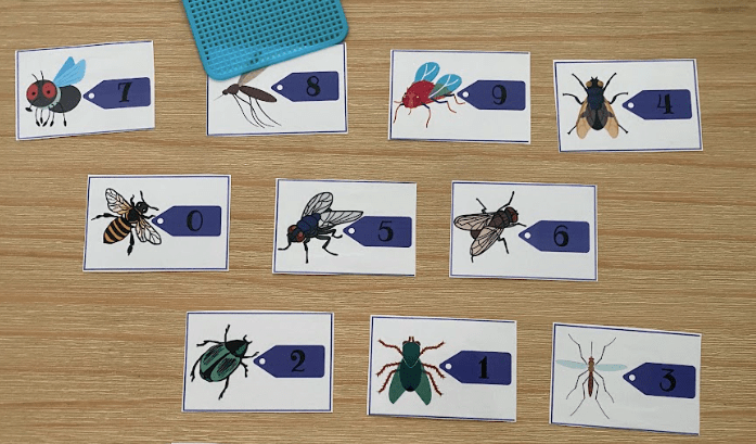 Profes Papel Tijera ATRAPA EL INSECTO. JUEGO CÁLCULO MENTAL MATEMÁTICAS ...