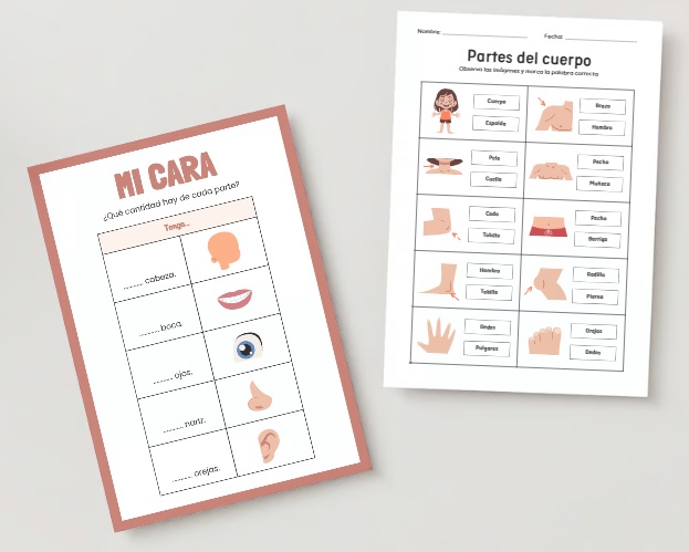 Profes Papel Tijera El Cuerpo Humano Actividades Y Propuestas