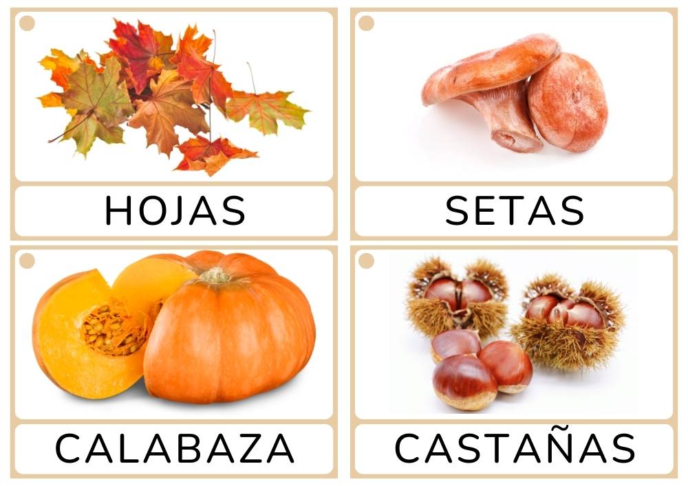 Profes Papel Tijera Bits OTOÑO (targetas)