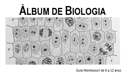Profes Papel Tijera Montessori Primària: Àlbum de Biologia