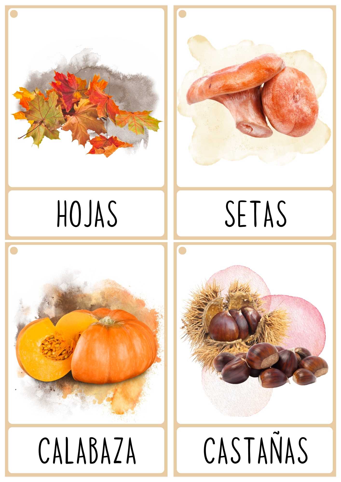 Profes Papel Tijera Targetas de vocabulario de OTOÑO (4/página)