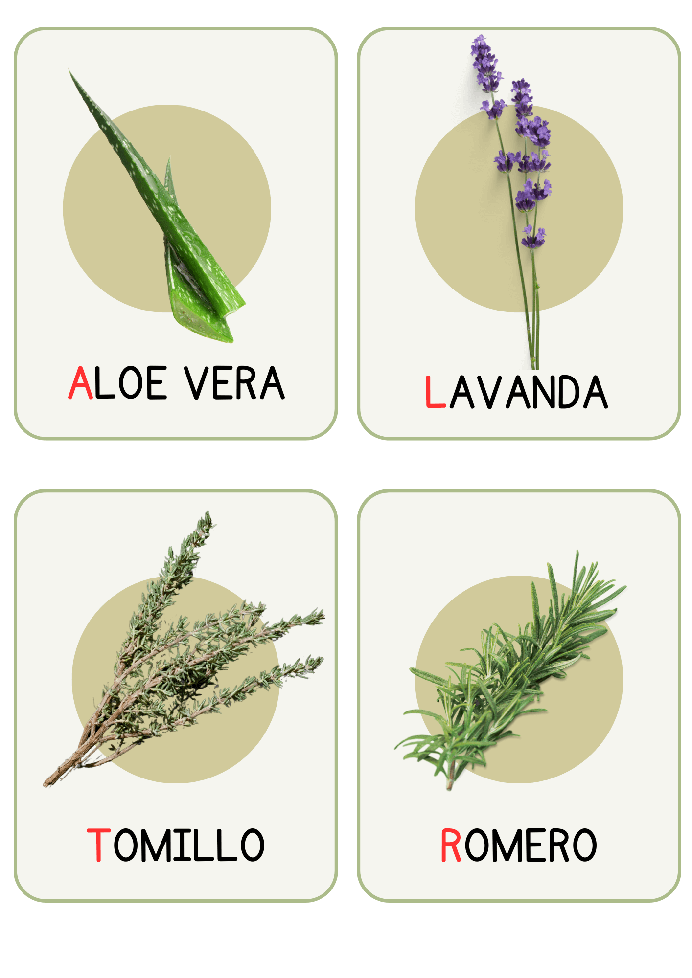 Profes Papel Tijera Plantas medicinales