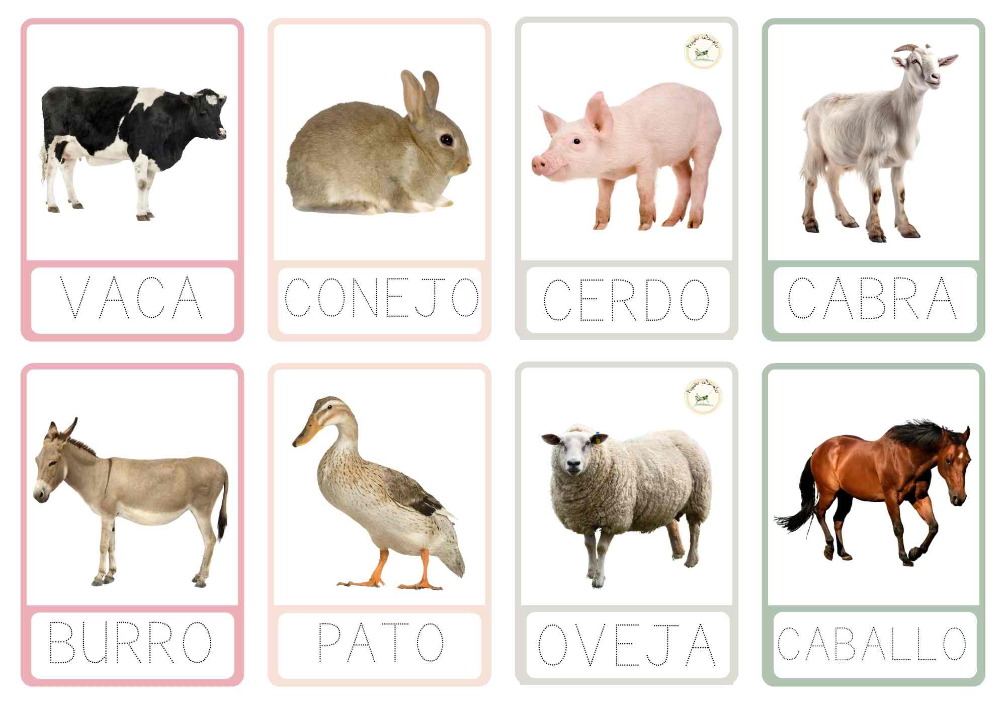 Profes Papel Tijera Tarjetas de lectorescritura gratis de la granja