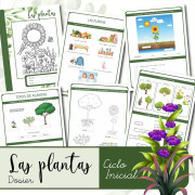 Profes Papel Tijera LAS PLANTAS - CICLO INICIAL