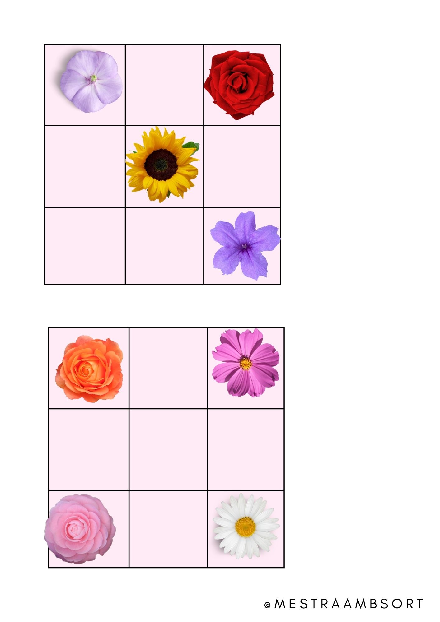 Profes Papel Tijera Dossier flors primavera