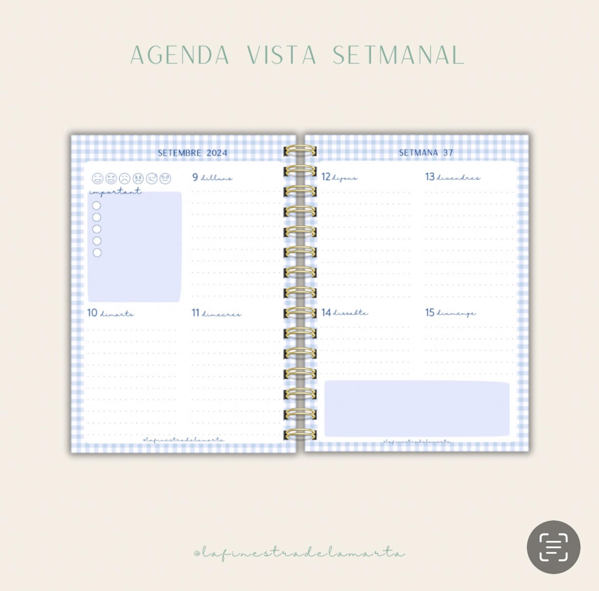 Profes Papel Tijera QUADERN DOCENT 24-25 VICHY GROC