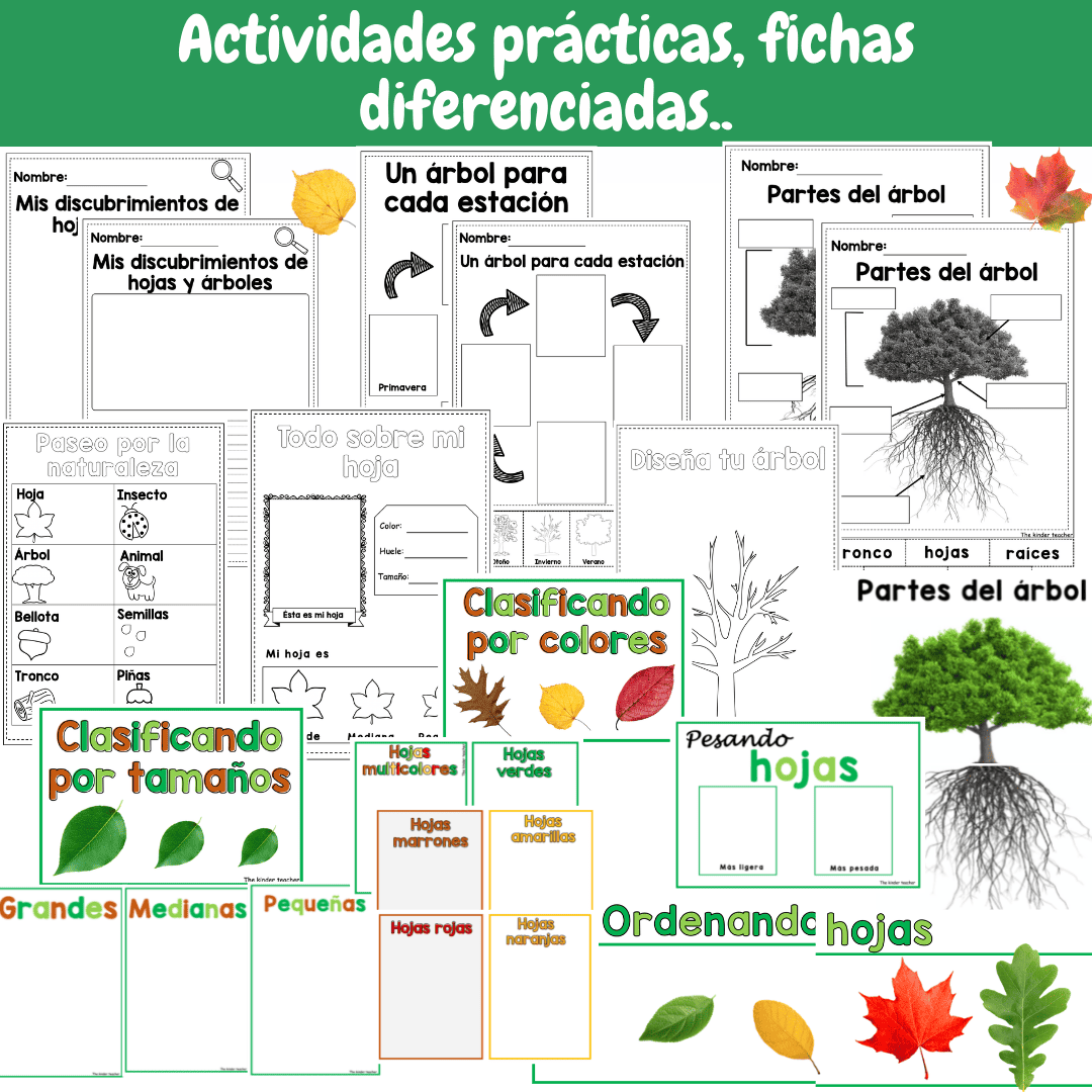 Profes Papel Tijera Todo sobre las hojas y árboles - Área de ciencias ...