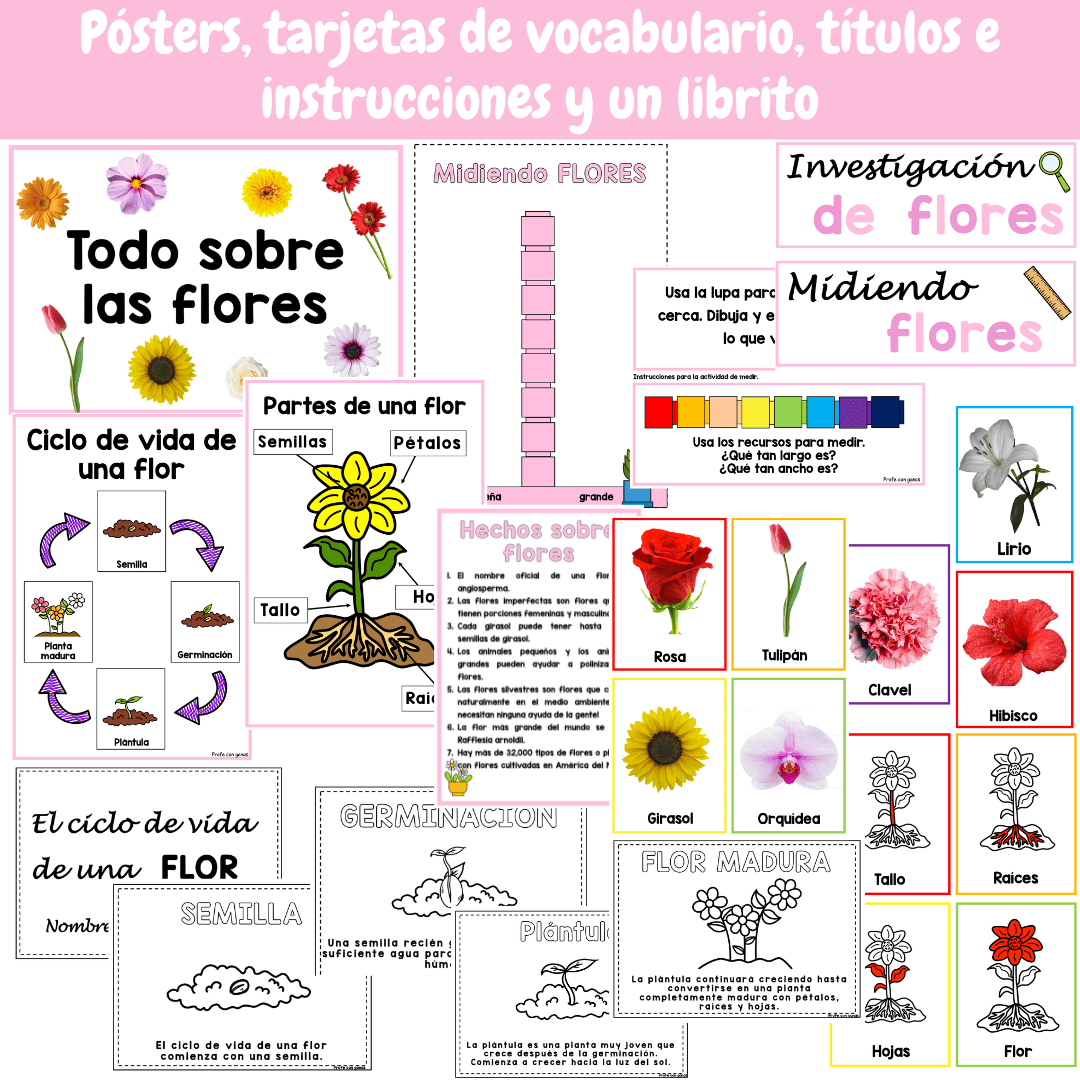 Profes Papel Tijera Todo sobre las flores - Rincon de investigación