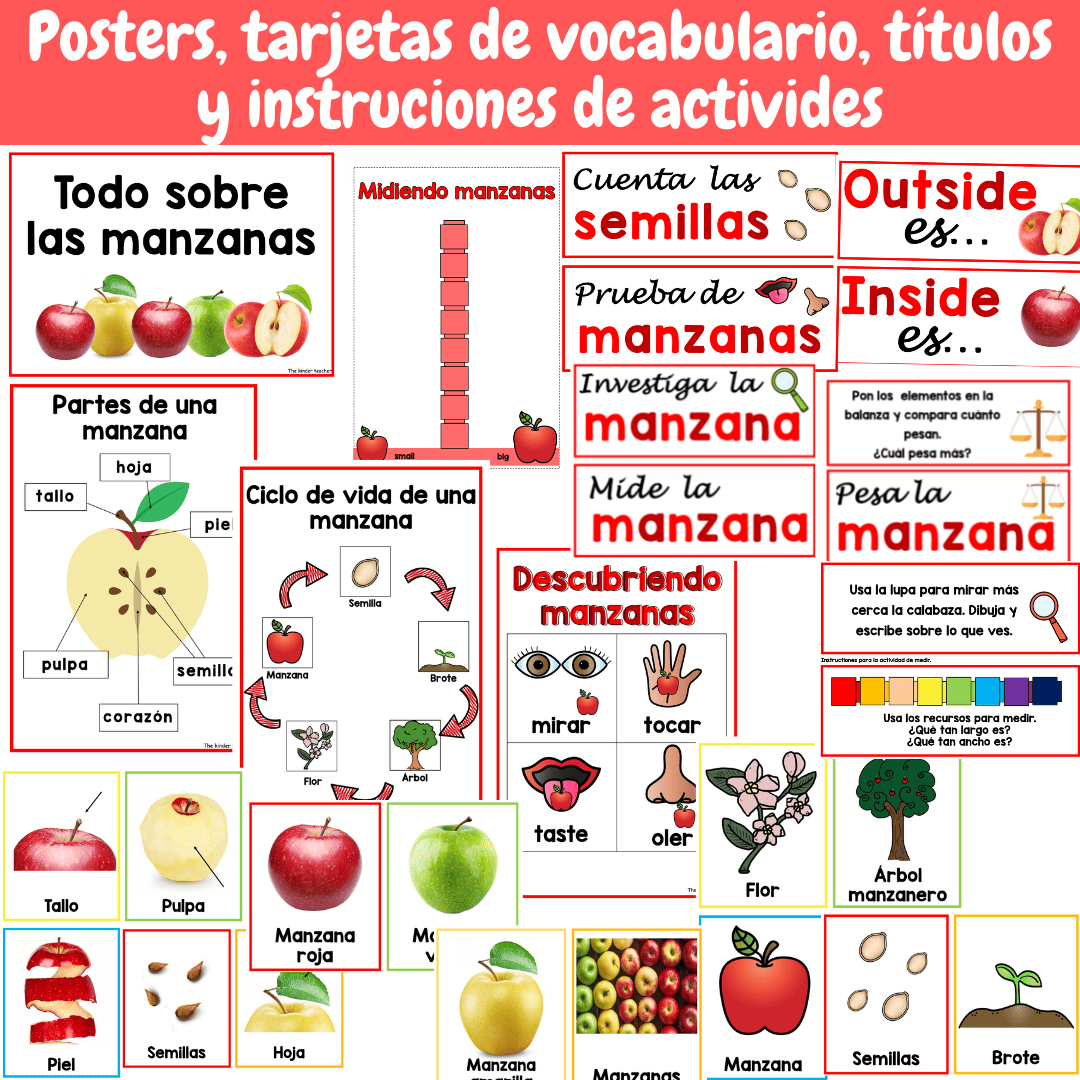 Profes Papel Tijera Todo sobre las manzanas - Rincon de ciencias