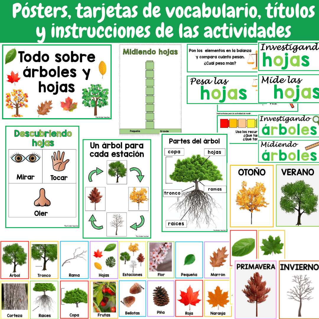 Profes Papel Tijera Todo sobre las hojas y árboles - Área de ciencias ...