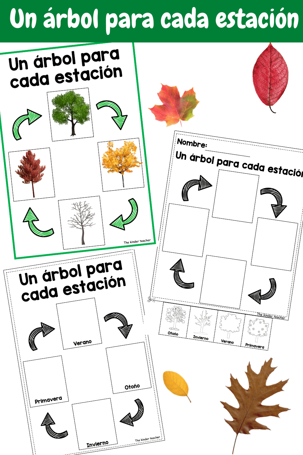 Profes Papel Tijera Todo sobre las hojas y árboles - Área de ciencias ...