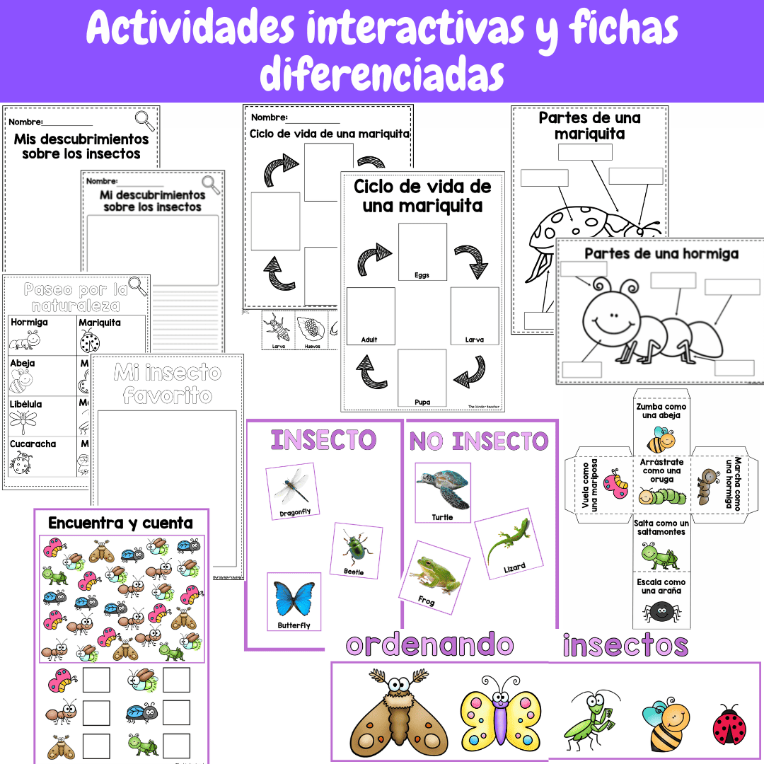 Profes Papel Tijera Todo sobre los insectos - Rincón de ciencias ...