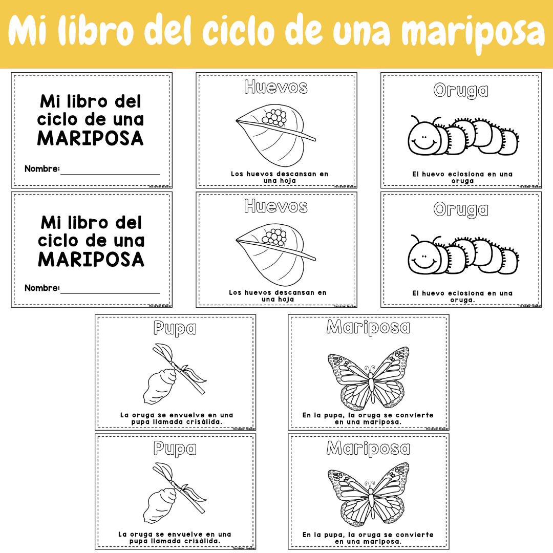 Profes Papel Tijera Todo sobre las mariposas - Rincón de ciencias