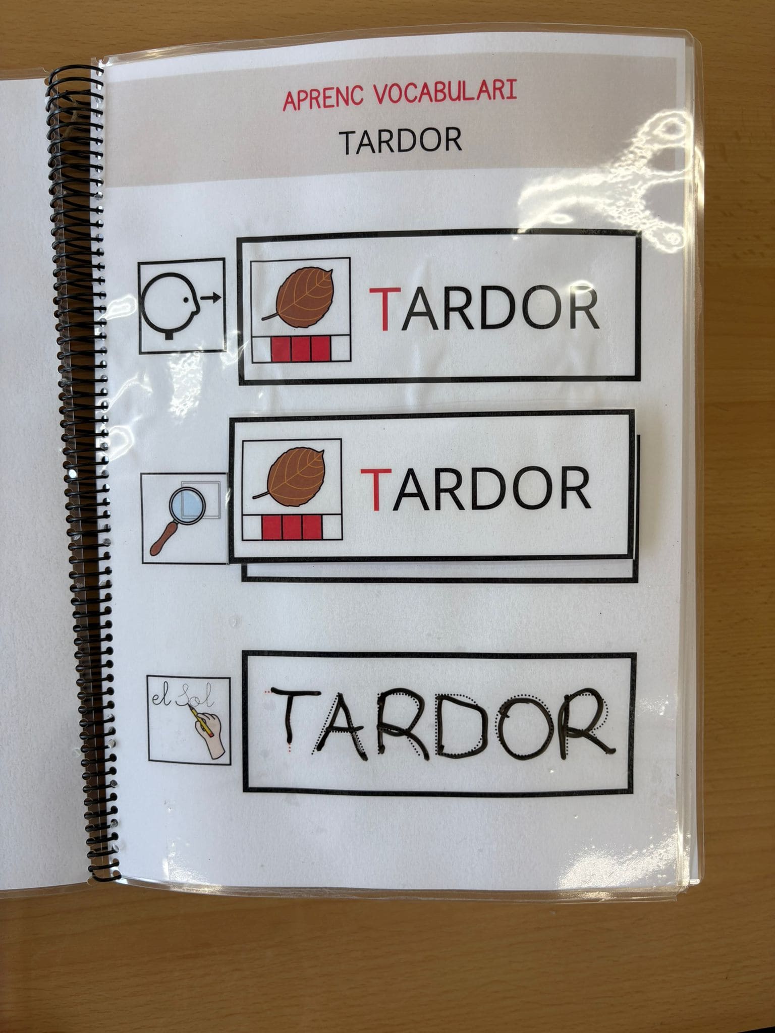 Profes Papel Tijera Aprenc vocabulari de tardor TEACCH