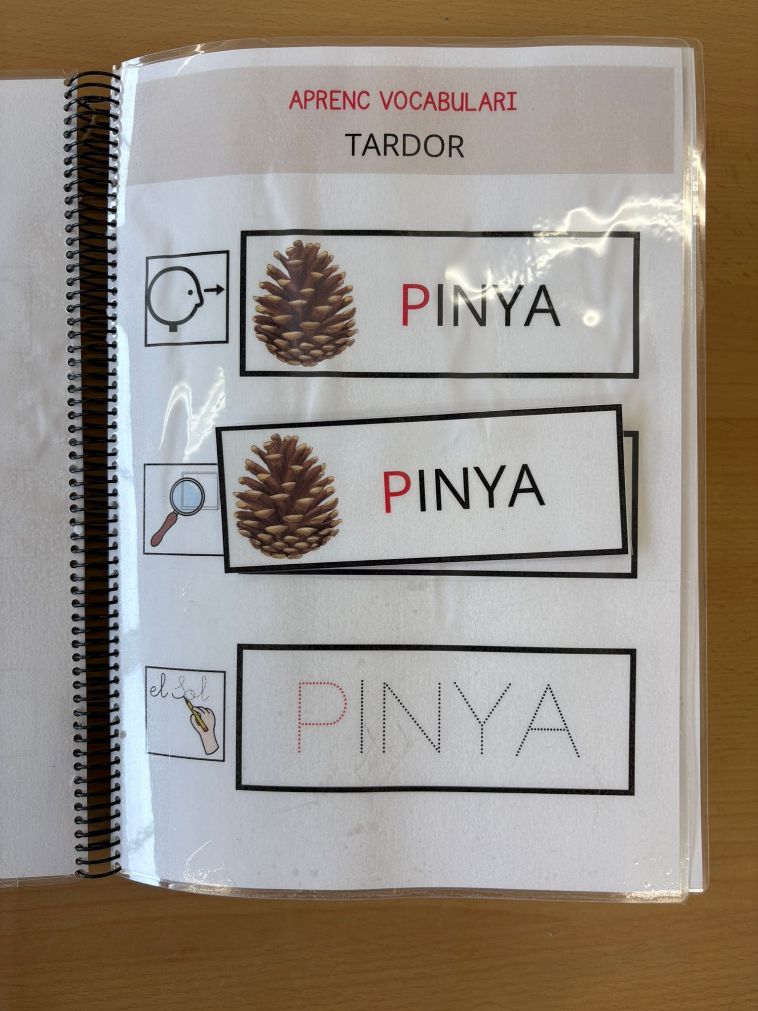 Profes Papel Tijera Aprenc vocabulari de tardor TEACCH